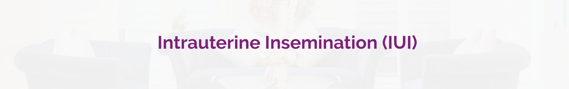 IUI - iBaby Fertility & Genetic Center