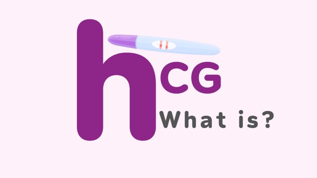 What is the hCG? - iBaby Fertility & Genetic Center
